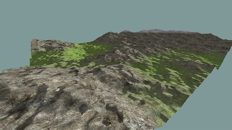 Projects - Olivia Calvert's Portfolio